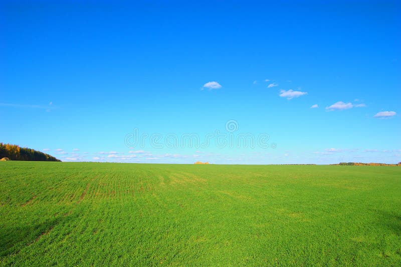 Green field with stack stock image. Image of horizontal - 12426839