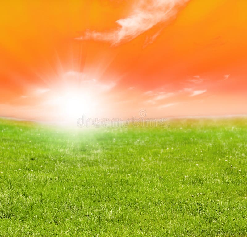 Green field and sun stock image. Image of season, idyll - 21522417
