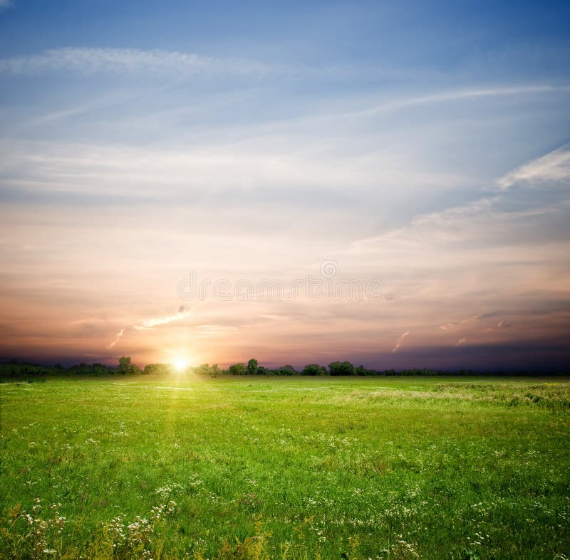 Green field and sunrise stock photo. Image of meadow - 13967712