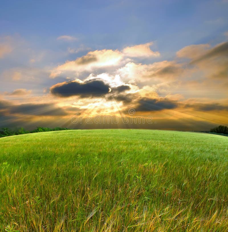 Green field and sunset stock photo. Image of green, idyll - 13768162