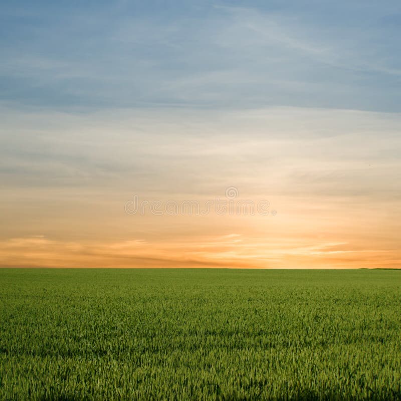Green field sunset stock image. Image of landscape, colorful - 4433337