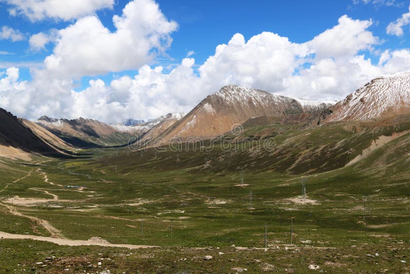 Green Field and Goats at Tibet Stock Image - Image of travel, beautiful ...
