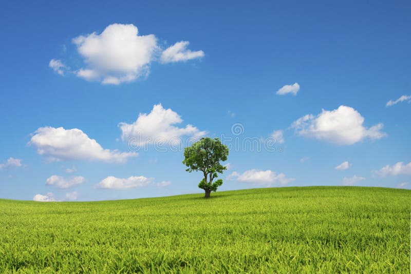 Green Field and Tree with Blue Sky Cloud Stock Photo - Image of grass ...