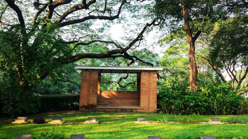 Green Field and Tree at Comilla Bangladesh Stock Photo - Image of ...