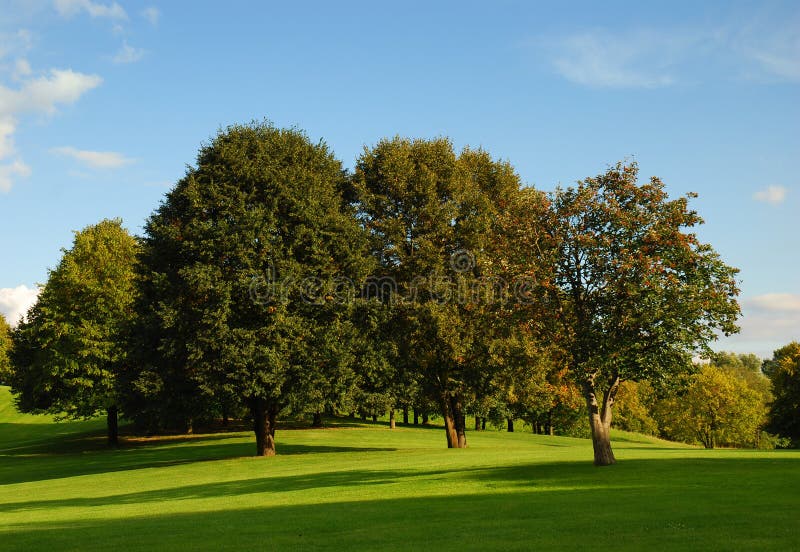 Green field and trees stock image. Image of green, trees - 18049167