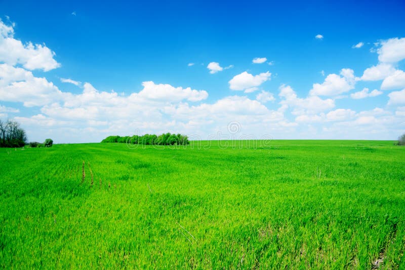 Green field and trees stock image. Image of lawn, cloud - 18369265