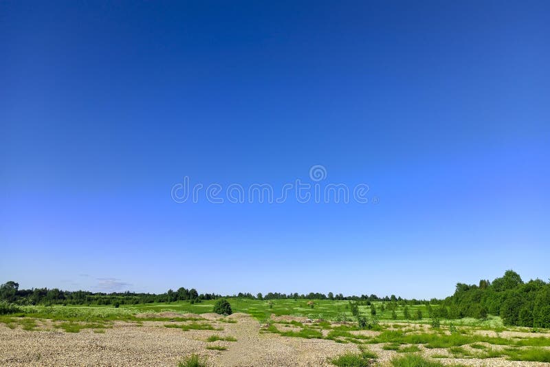 Green Field and Trees, Blue Sky without Clouds. Image for the Project ...