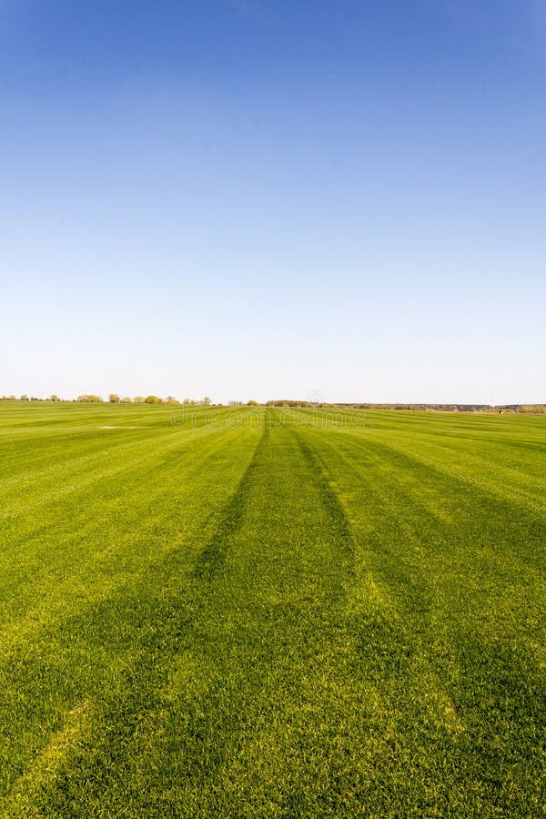 Green Field with Trees in the Distance Stock Image - Image of locations ...