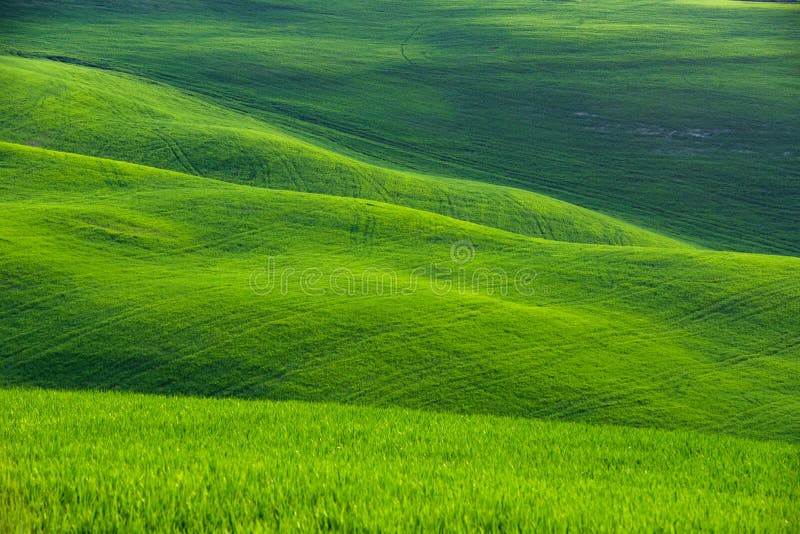 The Green Field Tuscany Italy Stock Photo - Image of nature, gorge ...