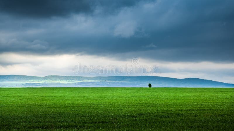 Green Field Under Stormy Sky Stock Photo - Image of storm, overcast ...