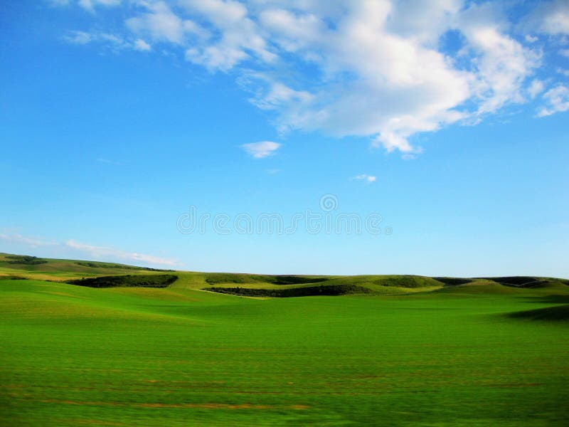 Green field stock image. Image of fields, vast, cloud - 55828669