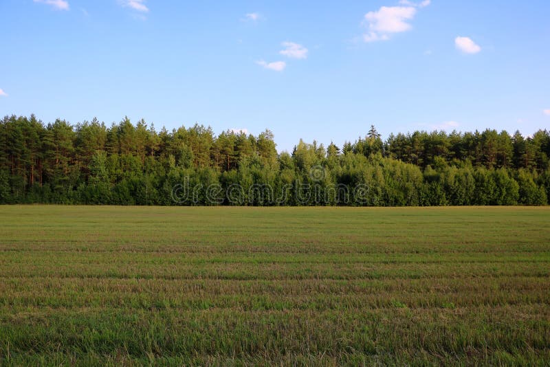 Green Field with Vegetation in the Countryside in Spring Stock Photo ...