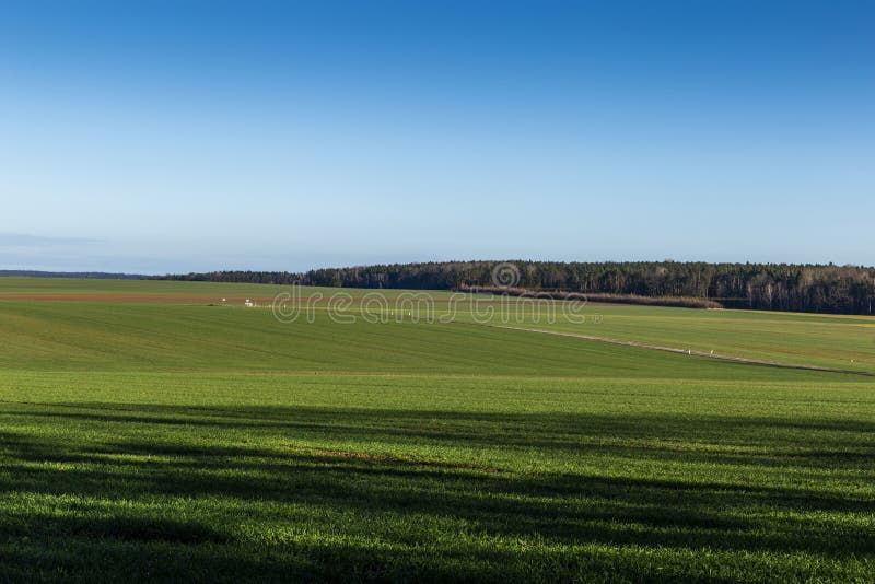 Green Field. Warm, Snowless Winter in the Czech Republic Stock Photo ...