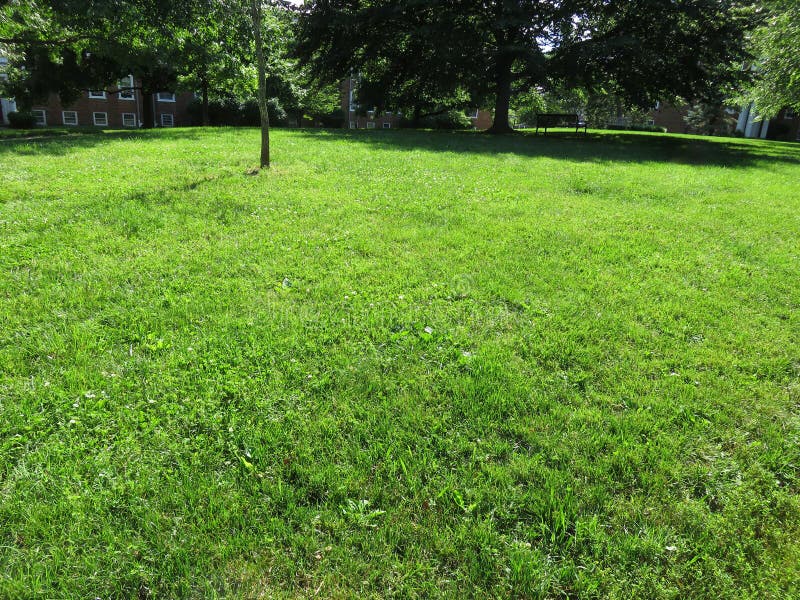 Green Field in a Washington DC Neighborhood Stock Photo - Image of ...