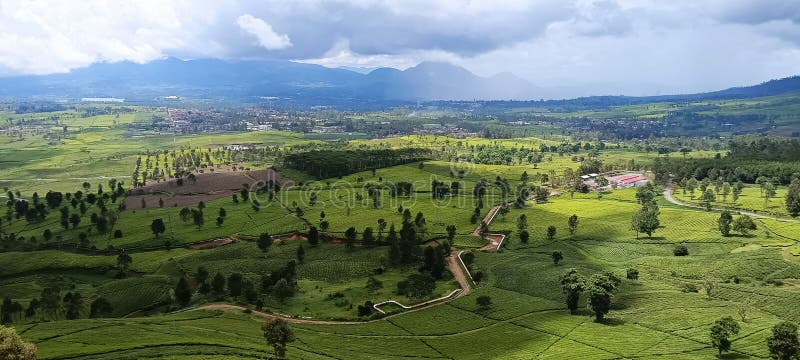 Wayang Windu Indonesia