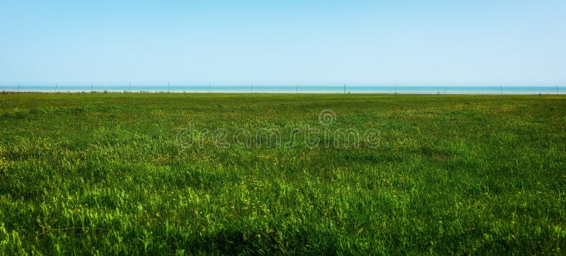 Green field stock photo. Image of grass, landscape, wide - 70250592