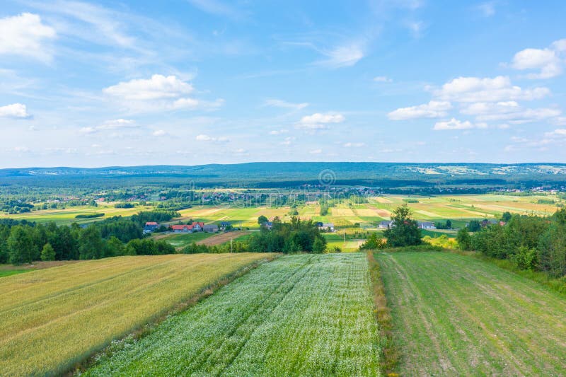 Green Fields Aerial View before Harvest at Summer. Aerial View of Green ...