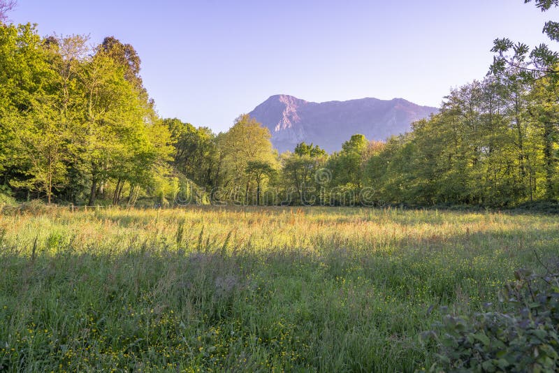 Green Valley in the Basque Country, Spain Stock Image - Image of ...