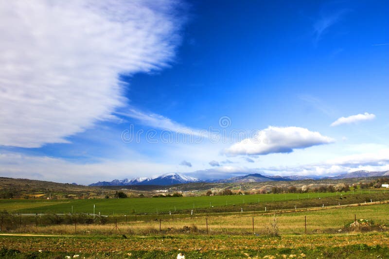 Green fields, blue sky stock photo. Image of path, outside - 585940