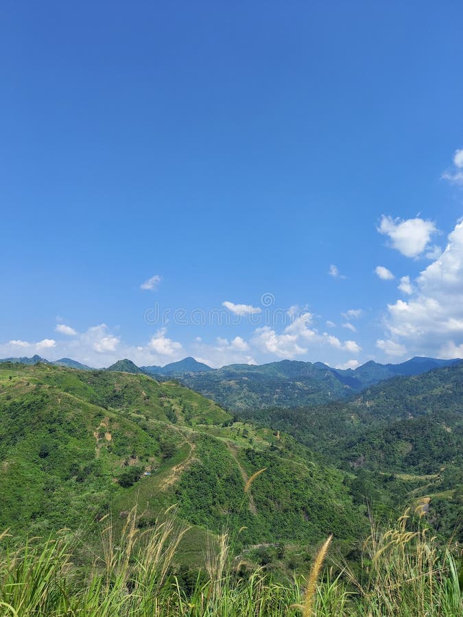 Green Fields and Blue Sky in Sentul, West Java Stock Image - Image of ...