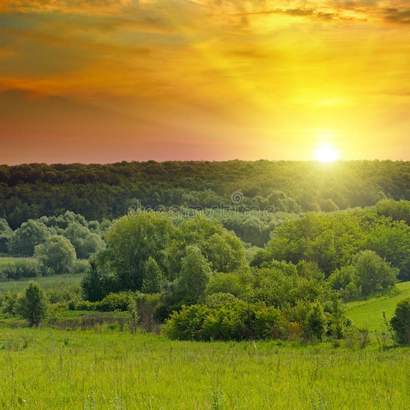 Green Fields And A Bright Sunrise Stock Photo - Image of outdoor, plant ...
