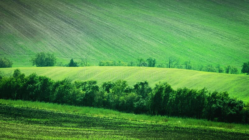 Green Fields Countryside Landscape Stock Photo - Image of scene, rural ...