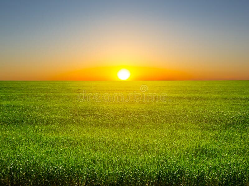 Green Fields at the Evening Stock Image - Image of clean, beautiful ...