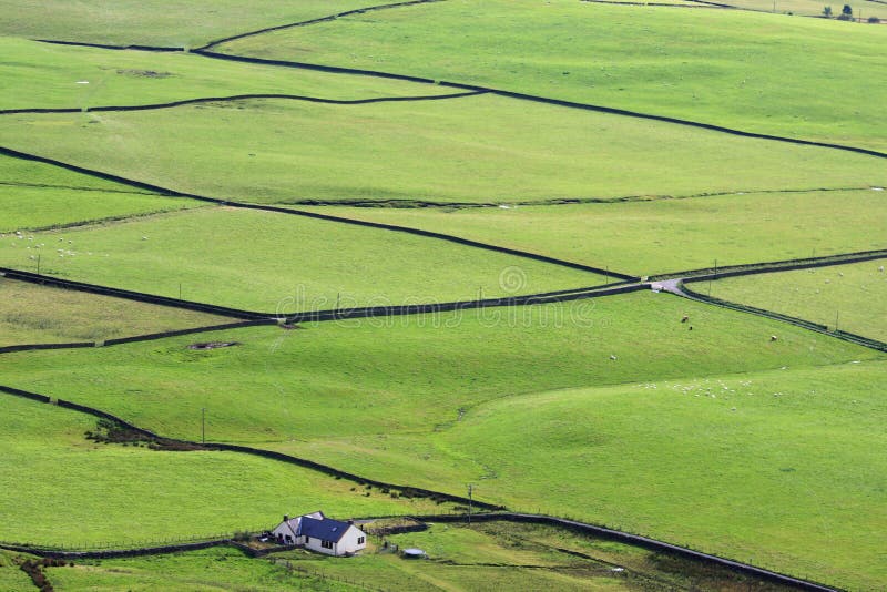 Green fields stock photo. Image of meadow, border, grass - 30711236