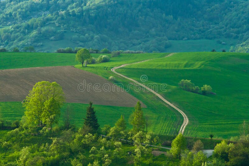 Green fields stock photo. Image of road, exterior, landscape - 31189736