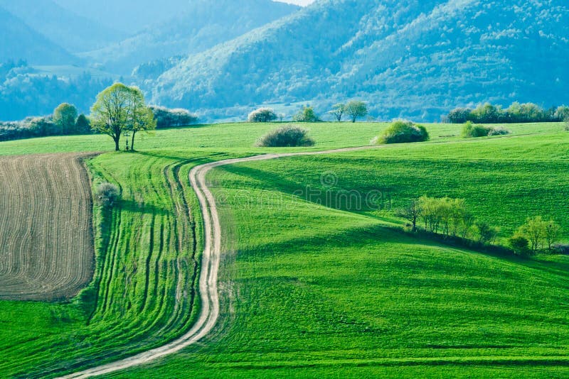 Green fields stock photo. Image of exterior, landscape - 31190128