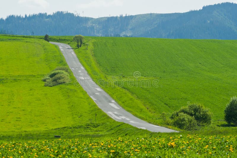 Green fields stock photo. Image of people, landscape - 31194696