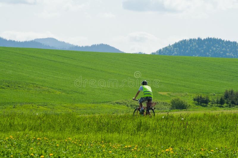 Green fields stock image. Image of agro, trees, bicycle - 31194713