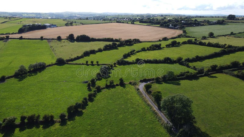 Green Fields of Ireland Lined with Trees, Top View. Green Irish ...