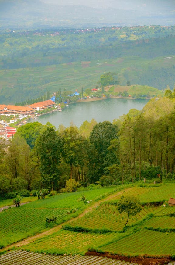 The Green Fields of Java, Indonesia Stock Image - Image of pile, rural ...