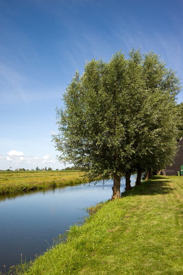 Green Fields Near Amsterdam, Netherlands Stock Photo - Image of scenic ...
