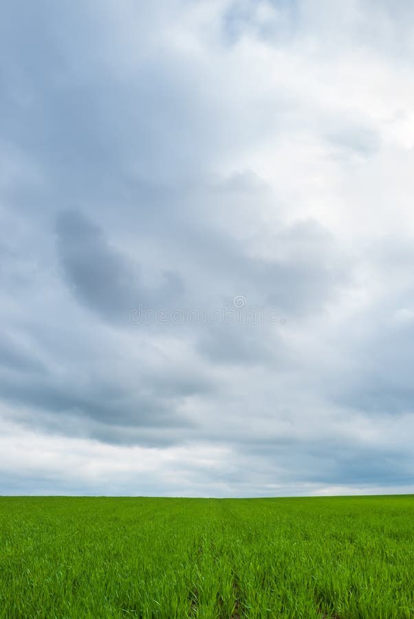 Green Fields and Overcast Sky. Beautiful Spring Landscape. Stock Photo ...