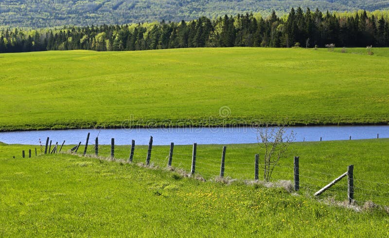 Countryside Pond Fence Field Cultivation Stock Photo - Image of crop ...