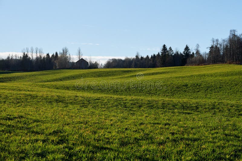 Green fields in sunshine stock photo. Image of lush - 238734952