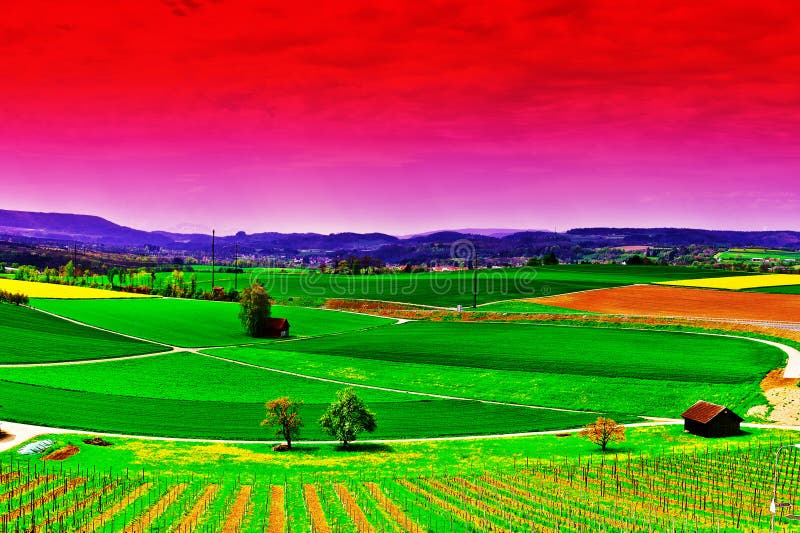 Green Fields in Switzerland Stock Image - Image of farm, morning: 87656703