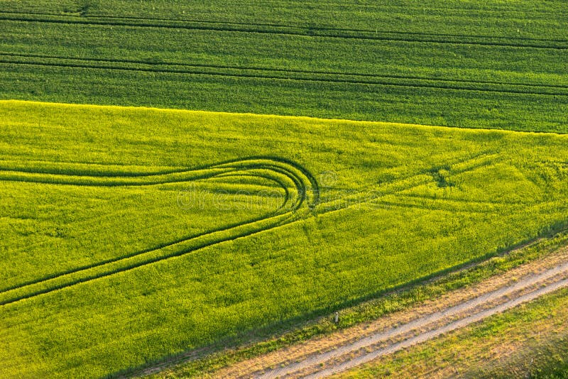 Green Fields with Tractor Tracks in Spring Stock Photo - Image of ...