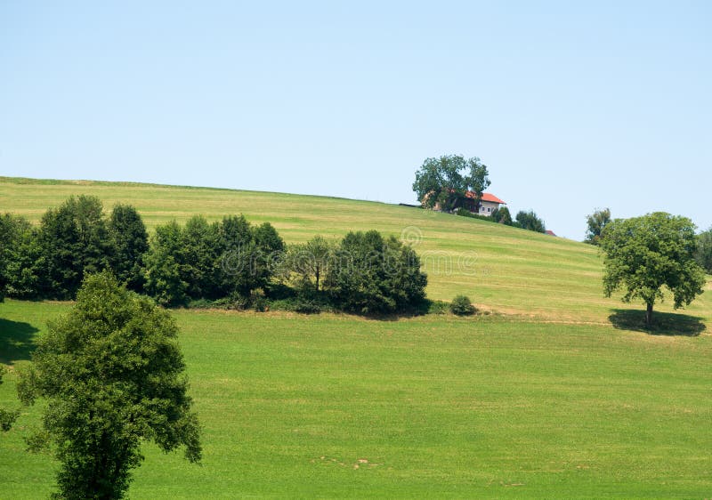 Green fields with trees stock image. Image of grass, country - 69571383