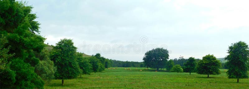Green fields with trees stock photo. Image of landscape - 109722738