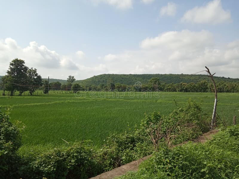 Green Fields ,trees, and Hills Looking Beautiful, Clouds R on the Sky ...