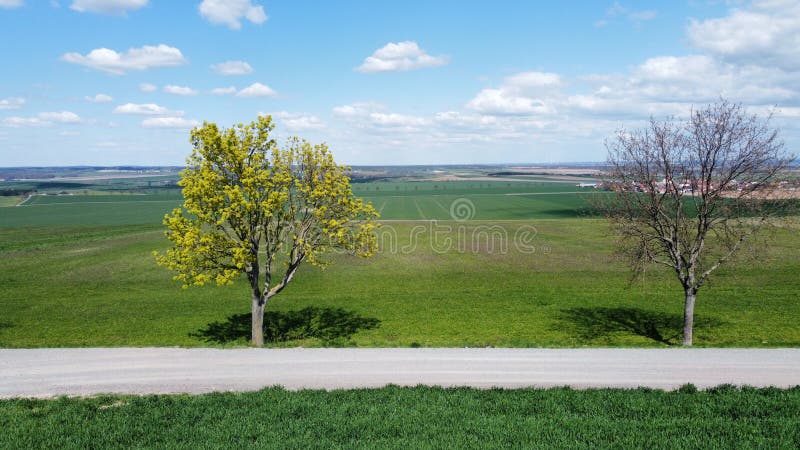 Green Fields and Trees Landscape Shot Stock Photo - Image of natural ...