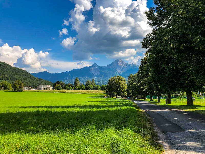 Green Fields and Trees with a Mountain in the Background Stock Image ...