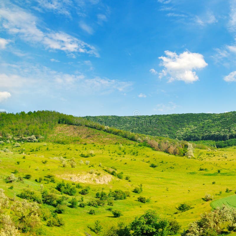 Green Fields with Trees and Shrubs. There are Beautiful Clouds on the ...