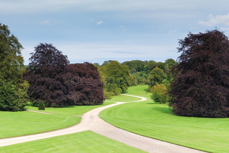 Green fields and trees stock photo. Image of nature, solitariness ...