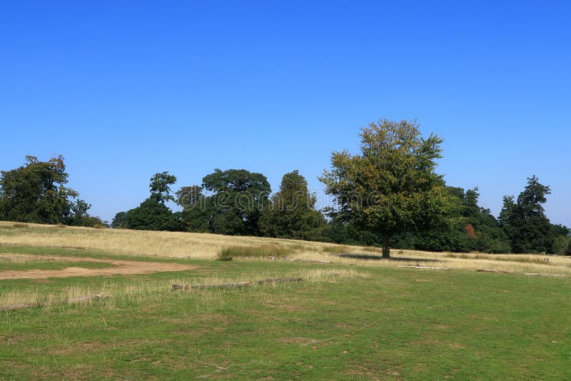 The Green Fields and Trees Under a Beautiful Blue Sky Stock Image ...
