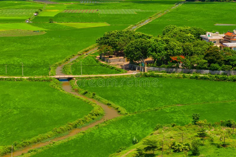 Green Fields in Vietnam Village Stock Image - Image of tuyhoa, curve ...