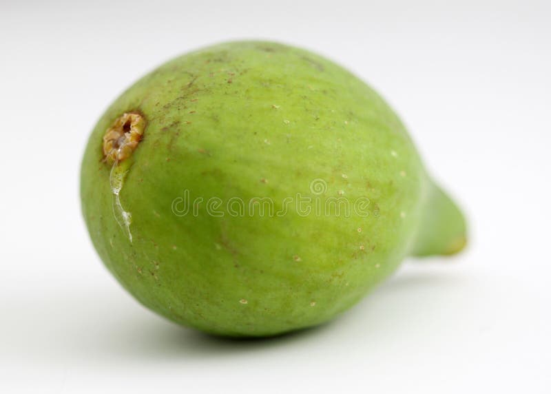 Guava stock photo. Image of philippine, delicious, juice - 38554076